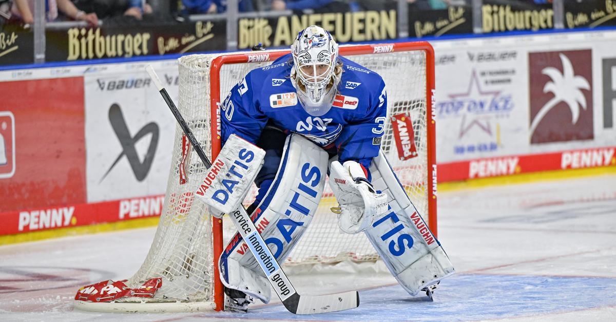 Neuer Torwart für die Adler Mannheim